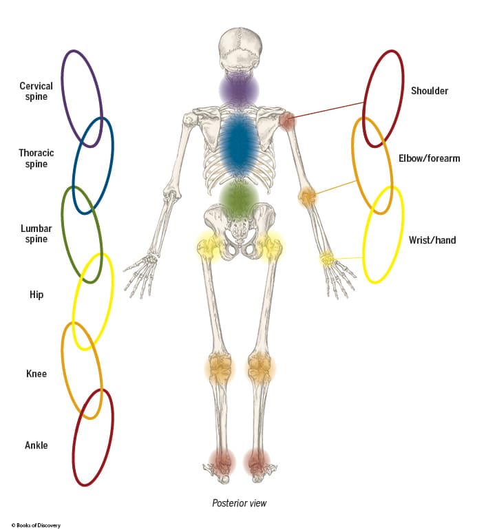 The Ethics of Touch Image Library - 3rd Edition